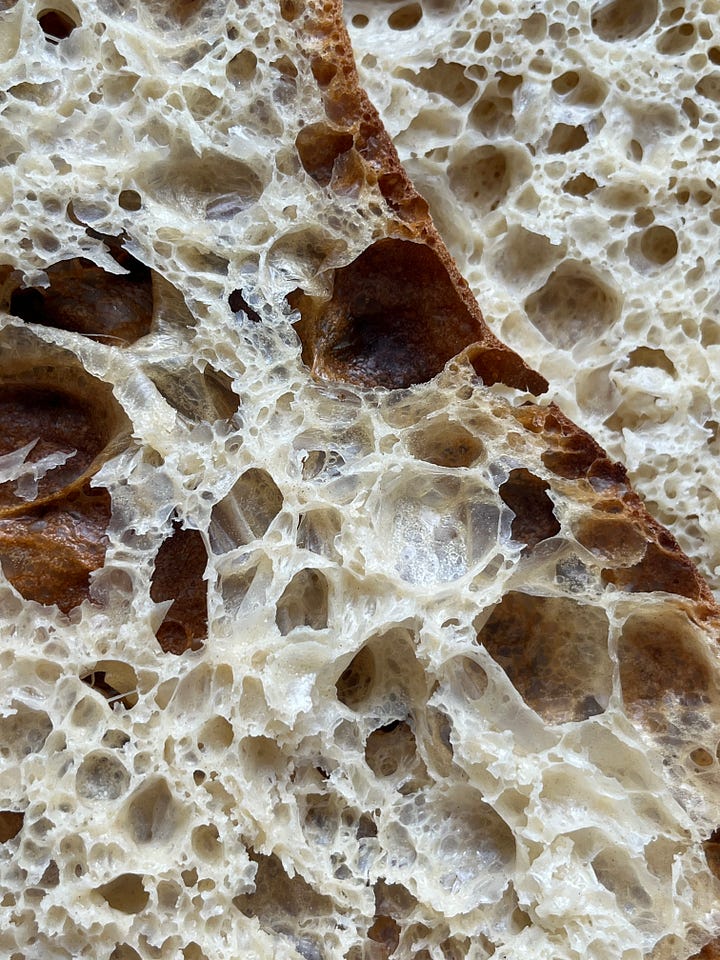 holey white vegetable