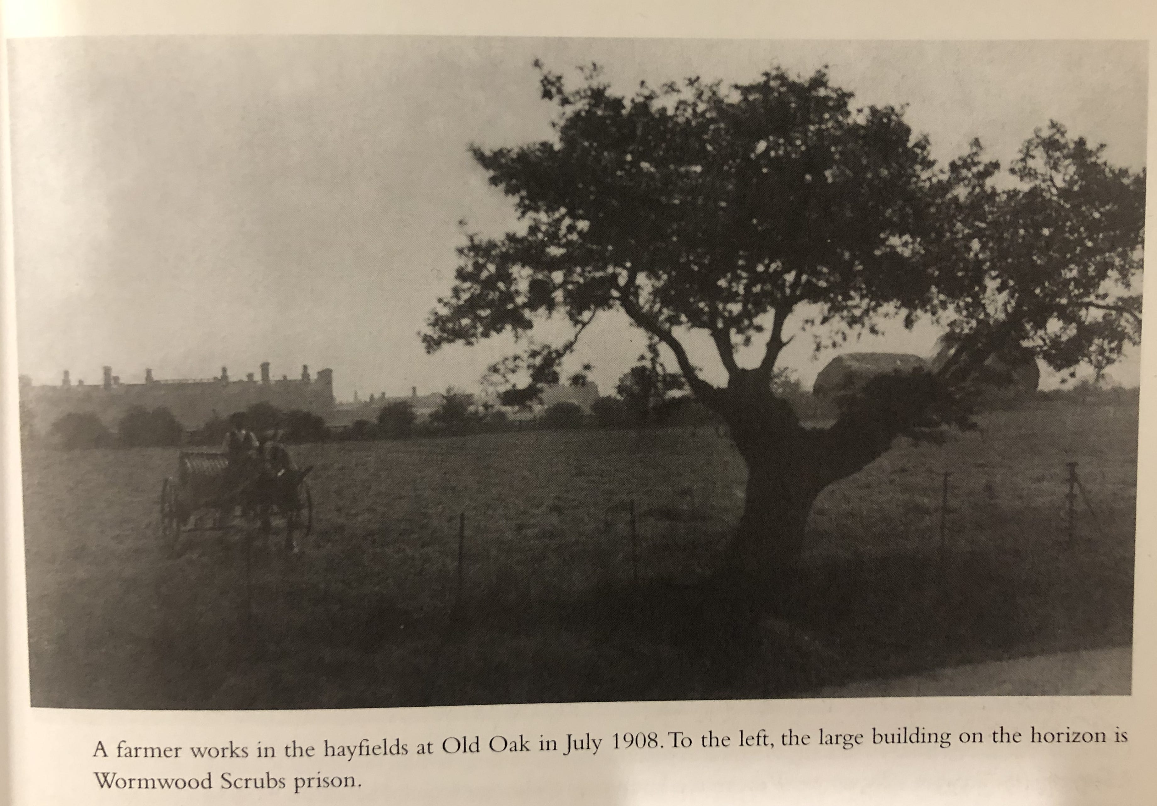 The modern marathon – invented at White City - by ScottH