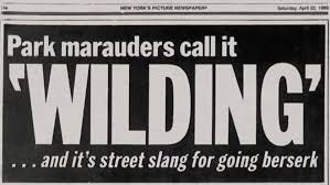 After Chicago "Teen Takeover," Time to Revive The More Accurate Term ...