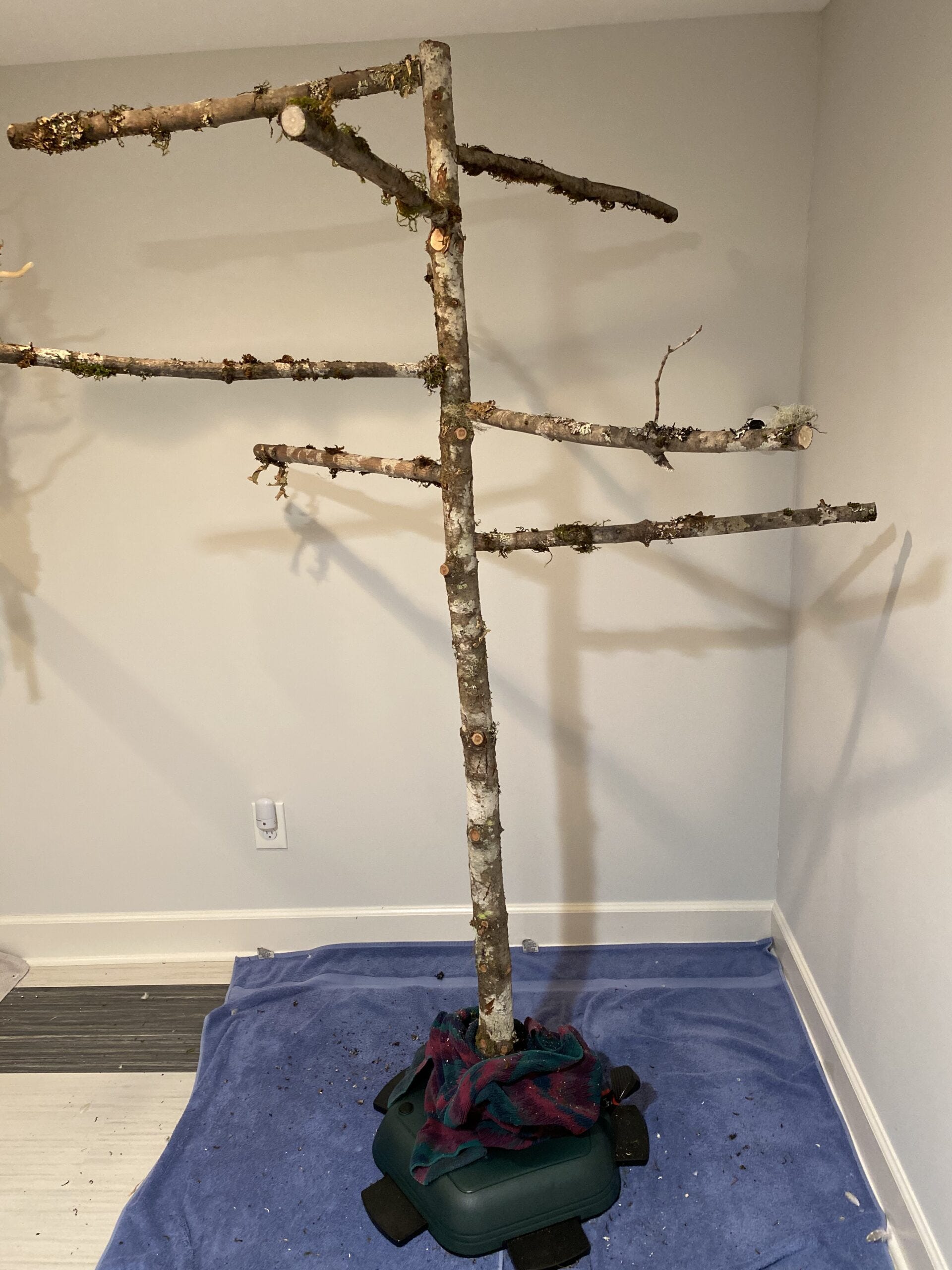 How to Make a Bird Perch: Easy DIY Steps for Perfect Perches - Birds