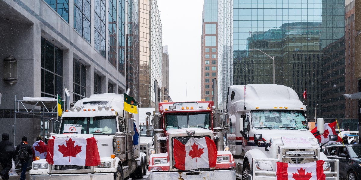 Comments - Court upholds Freedom Convoy protester’s conviction despite ...