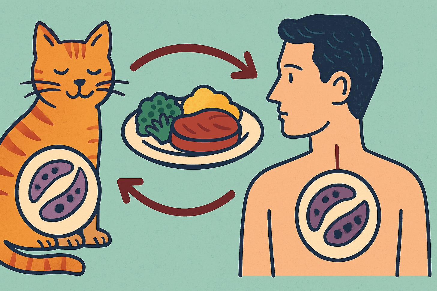 TORCH: quando a infecção começa antes do nascimento