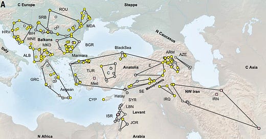 Nemets | Peter Nimitz | Substack
