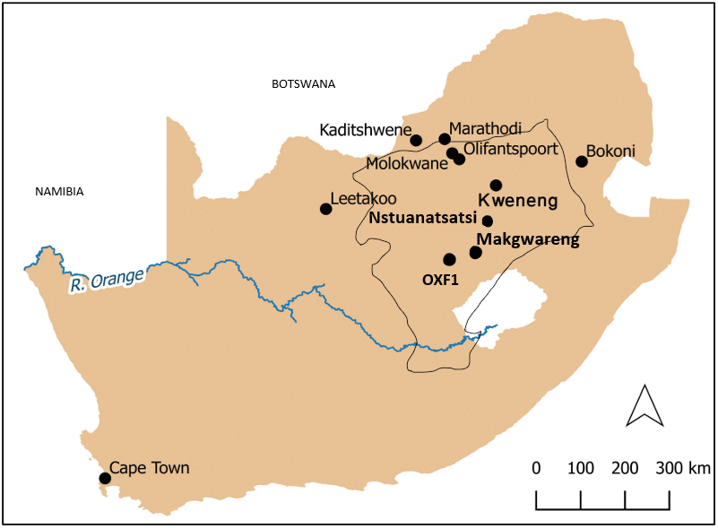 Stone towns on the Highveld of South Africa: an archaeological history ...