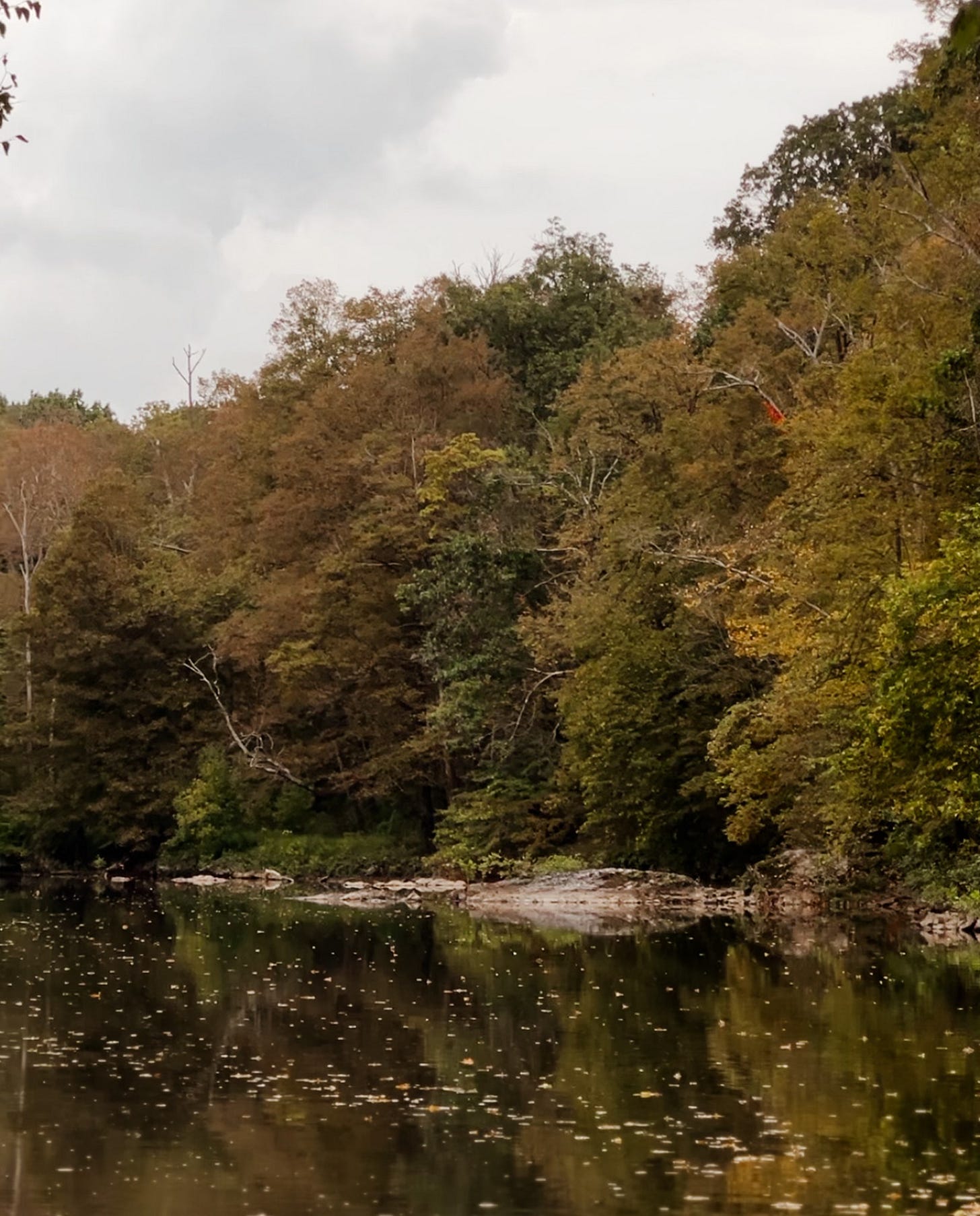 The Letter of Jude: His Warning and Exhortation