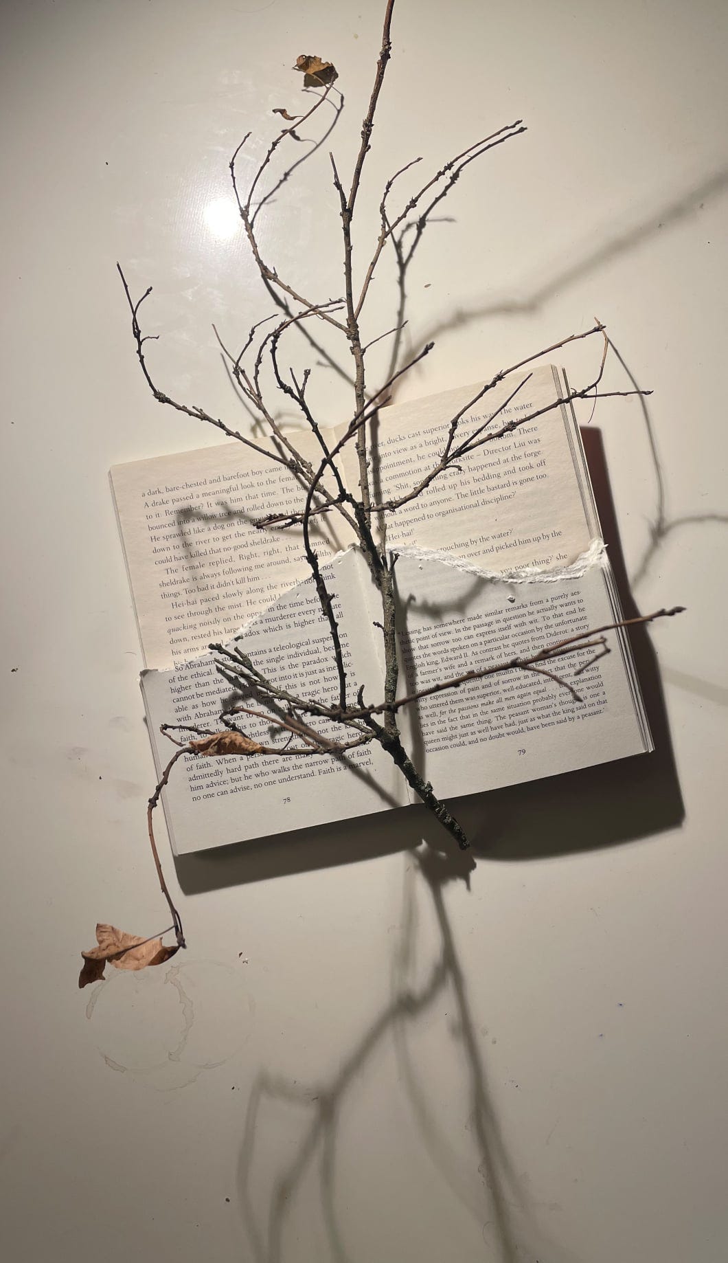 Haunted (Buried) Books: Remains that remain.