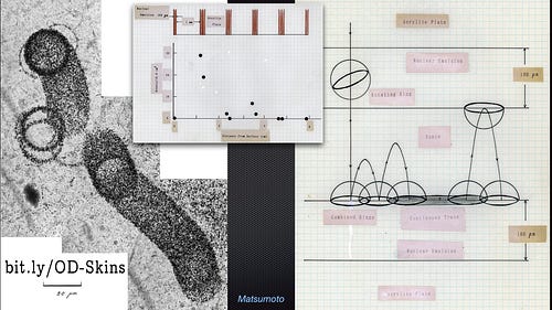 Bob Greenyer | Substack