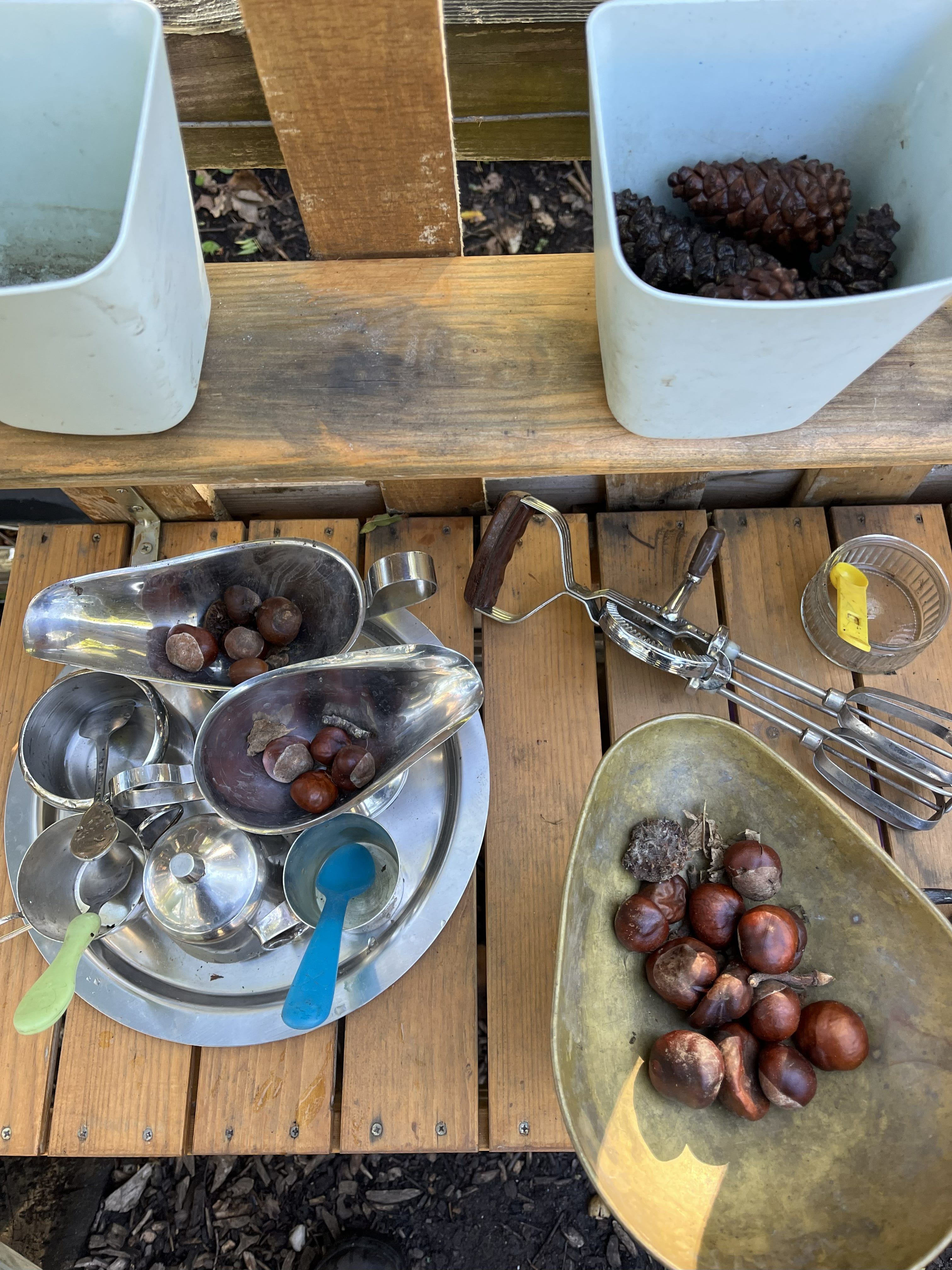 Bonkers for conkers - Wild Things - Stay Wild