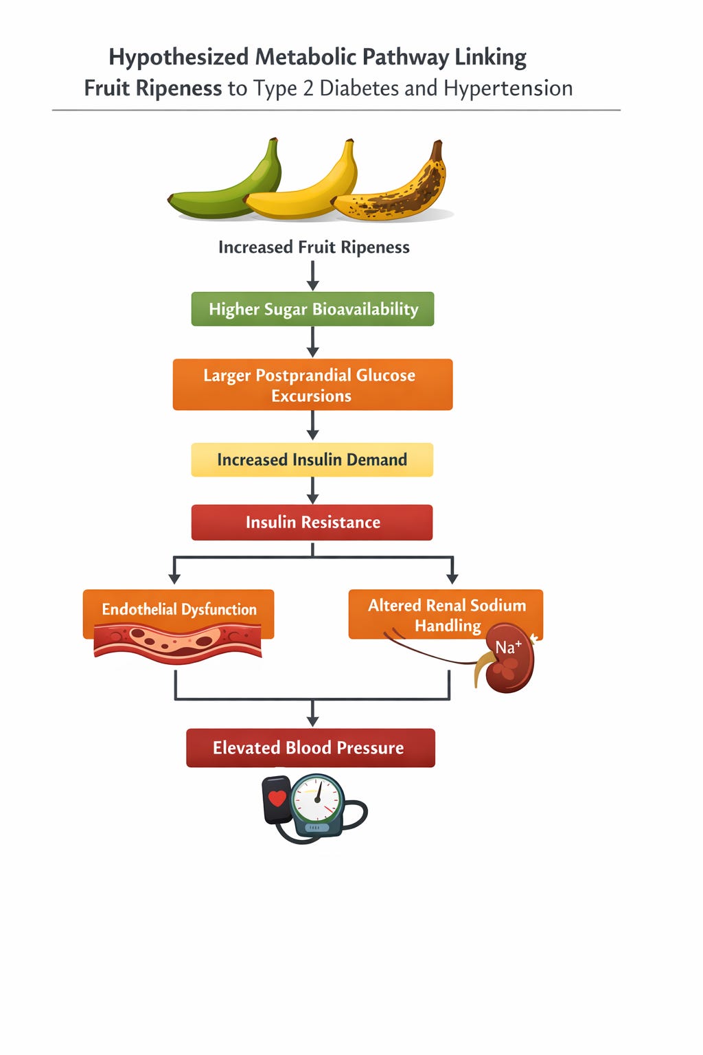 Fruit Ripeness and Its Potential Impact on Type 2 Diabetes and Hypertension
