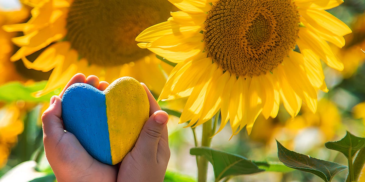 What sunflowers teach us about hope - by Viktor Kravchuk