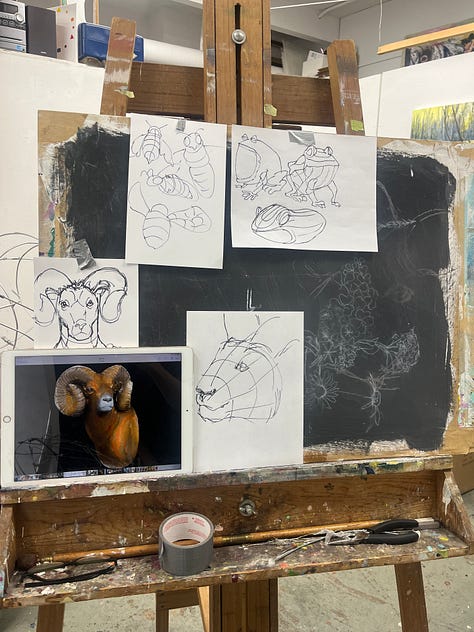 Artist Spotlight: Lalith Senanayake - by Lauren Kalinowski