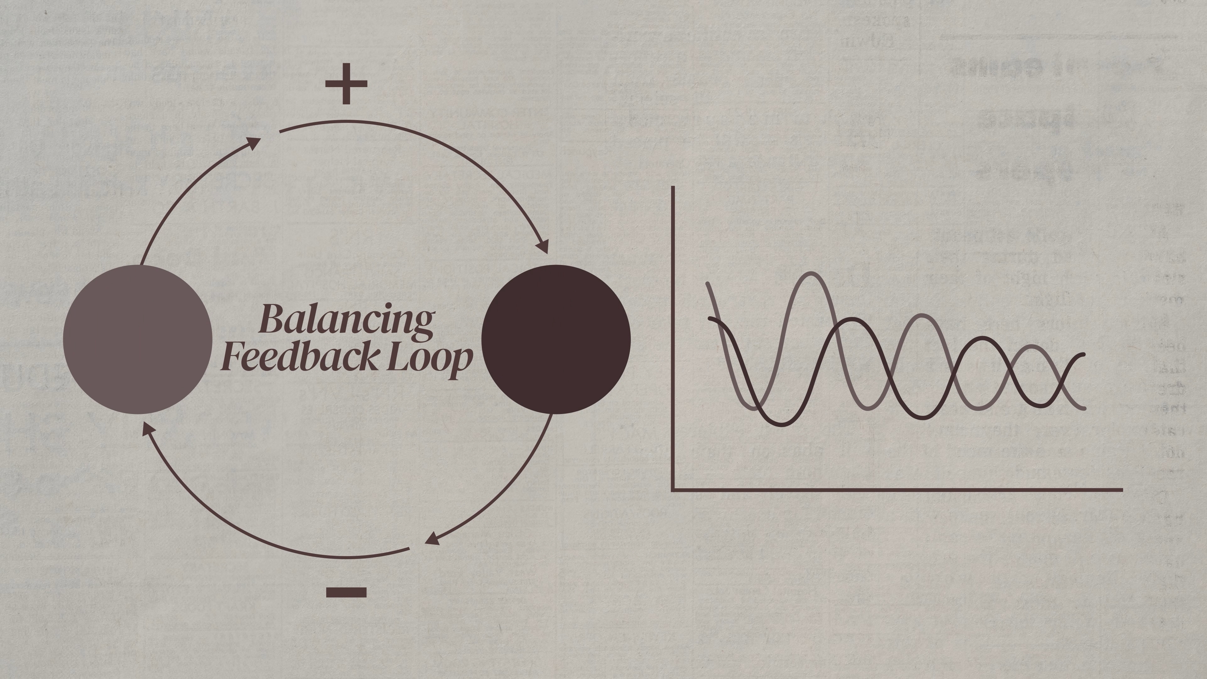 Feedback Loops - by Dante Borgese - Two Minute Wisdom