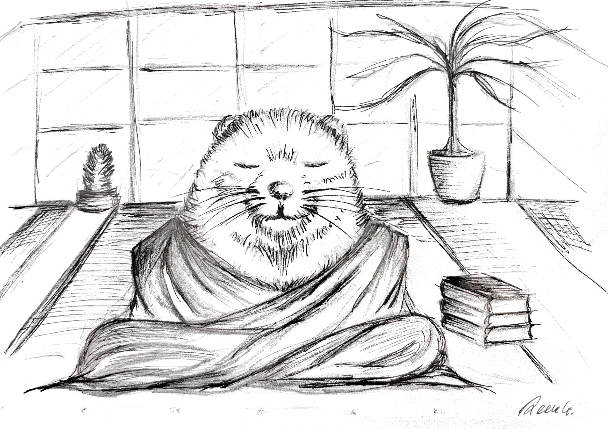 Groundhog’s Life: Success Didn’t Change Me (So I’m Trying Something ...