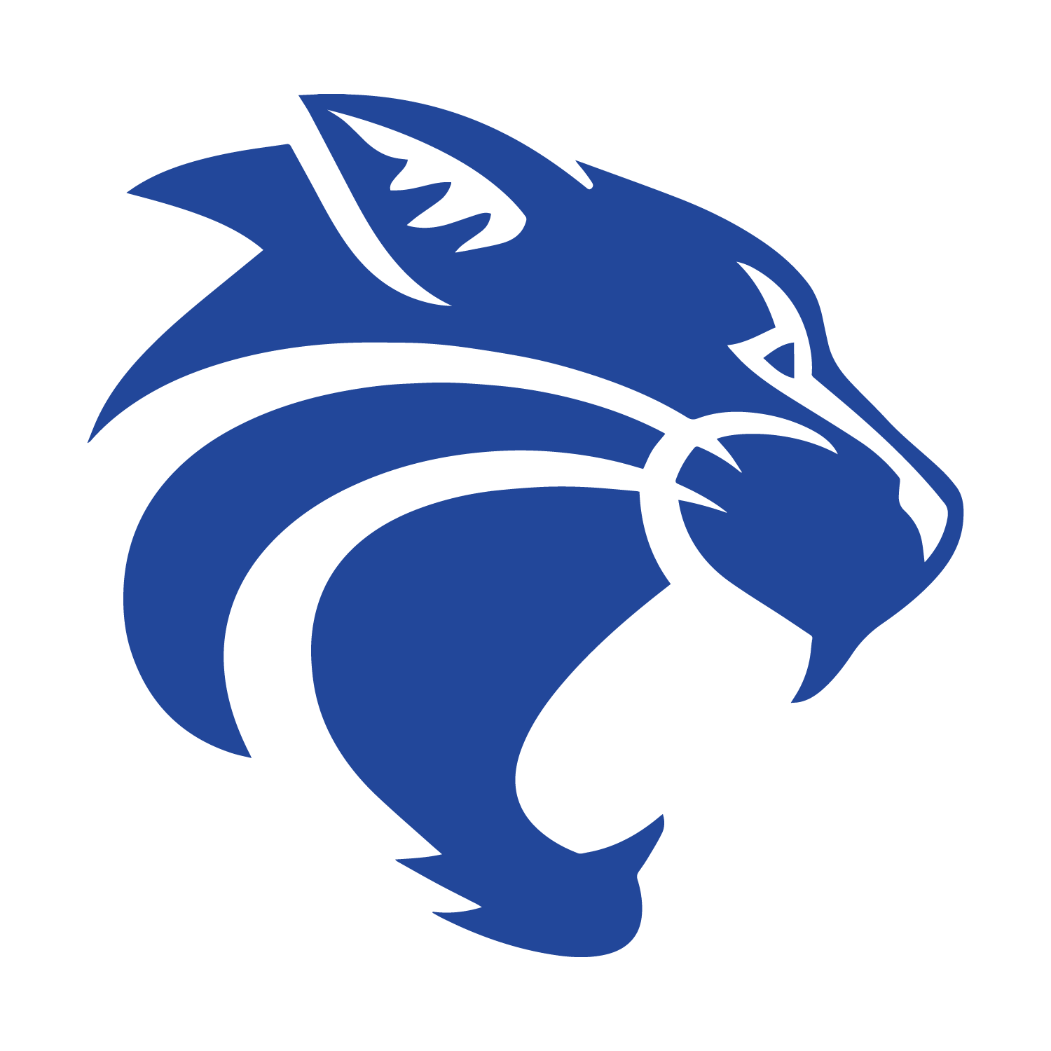 The History of the Wildcat Offense - by Kevin P. Crough
