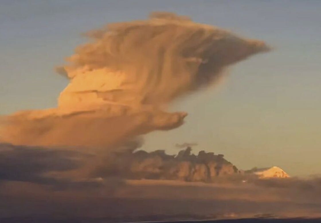 The news is not a health report. It’s a chaos highlight reel… – USSA ...