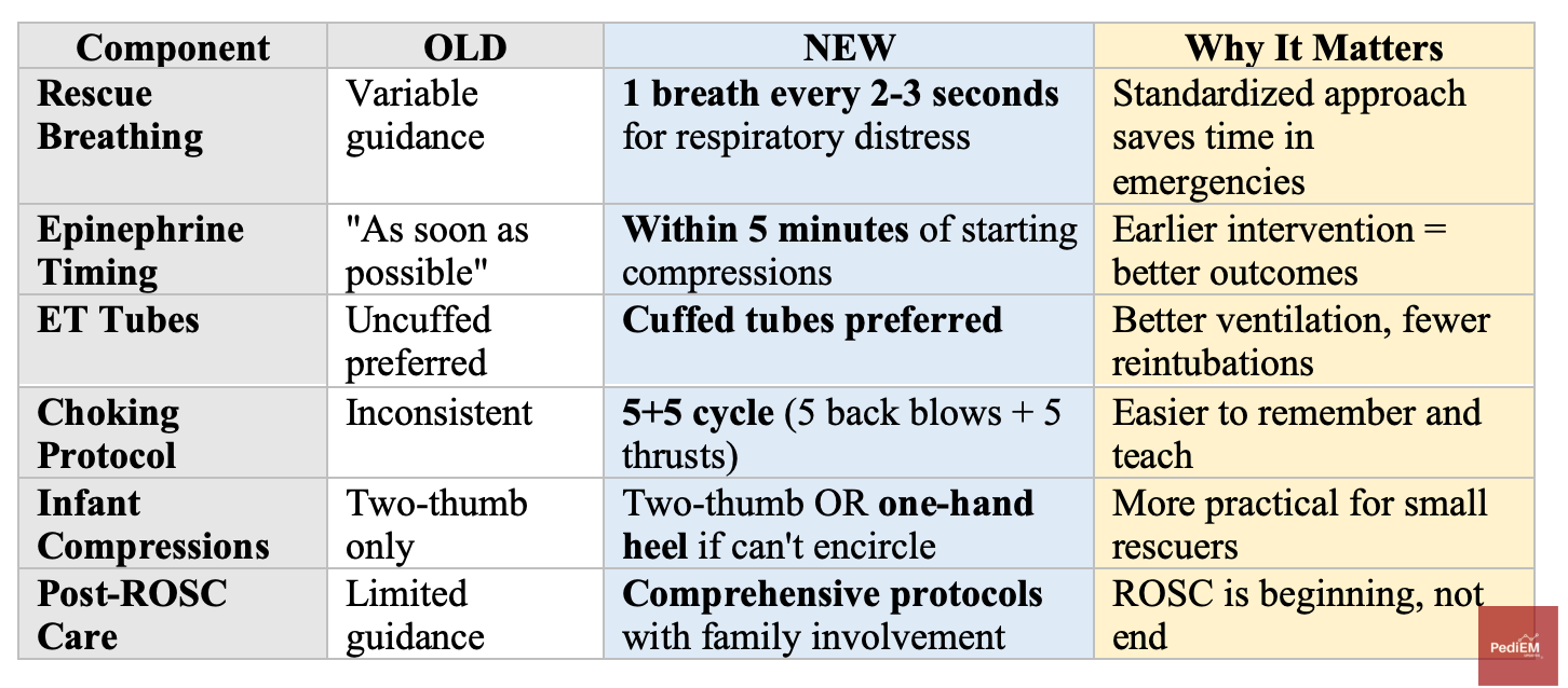 2025 PALS/NRP Guidelines: What Changed & Why It Matters