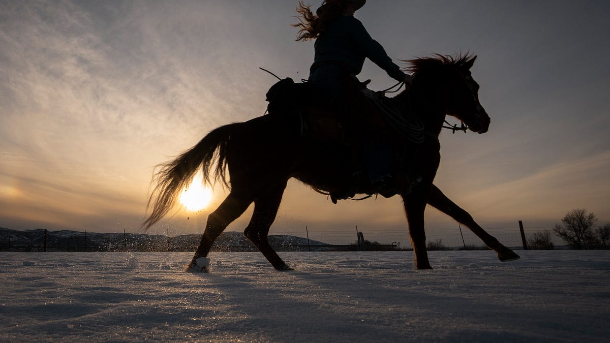 Rise of the Literary Outdoorswoman - by Cassidy Randall