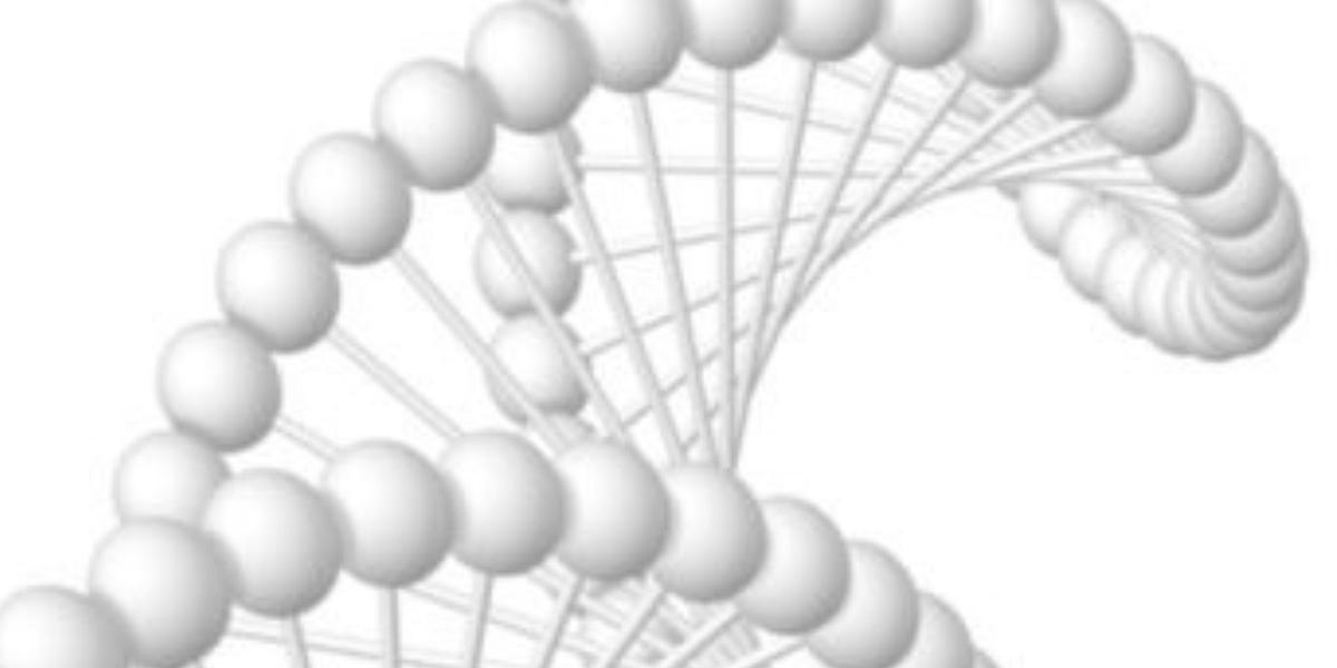 Double Helix: Our Spiritual DNA – August 20, 2025