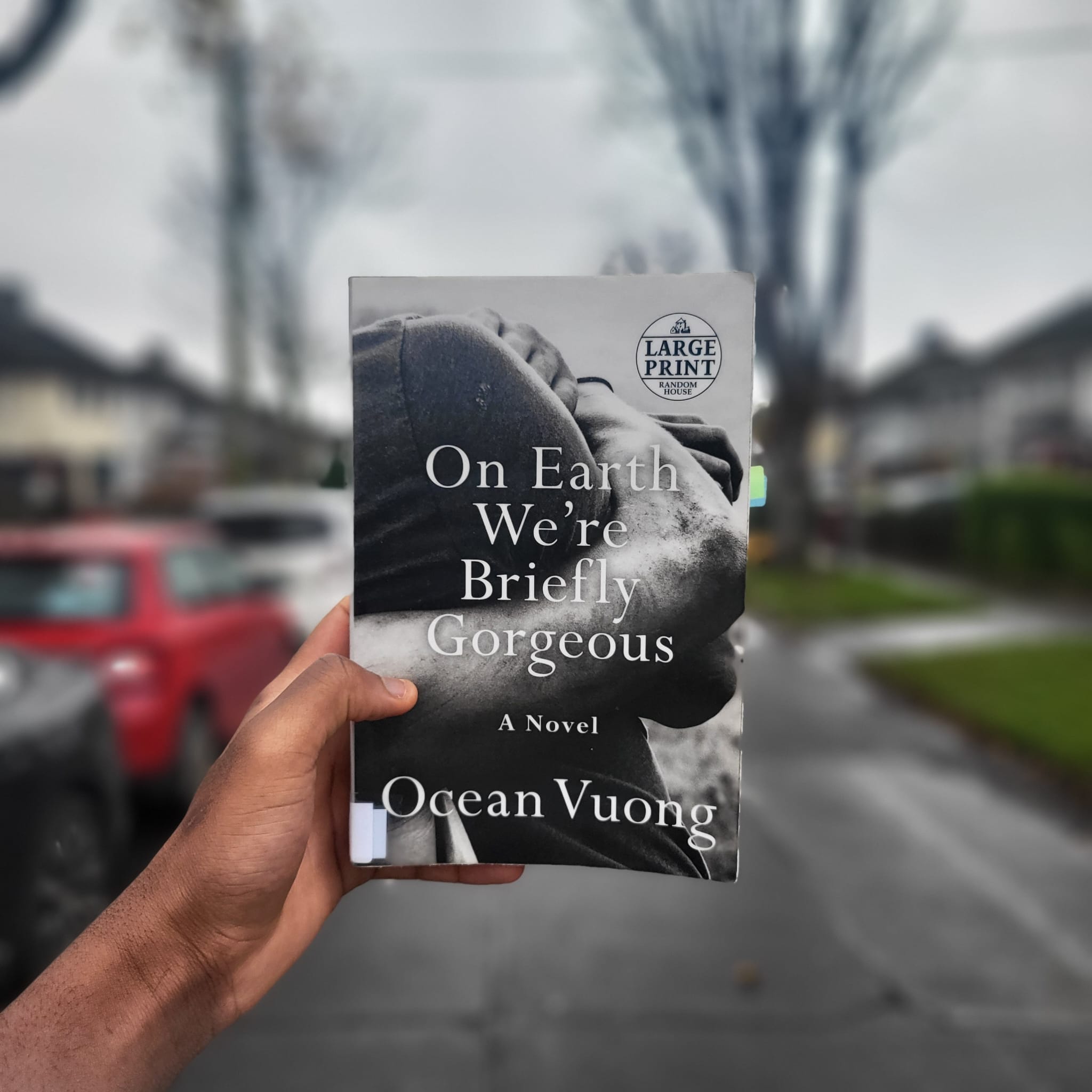 On Earth We're Briefly Gorgeous: Book Review