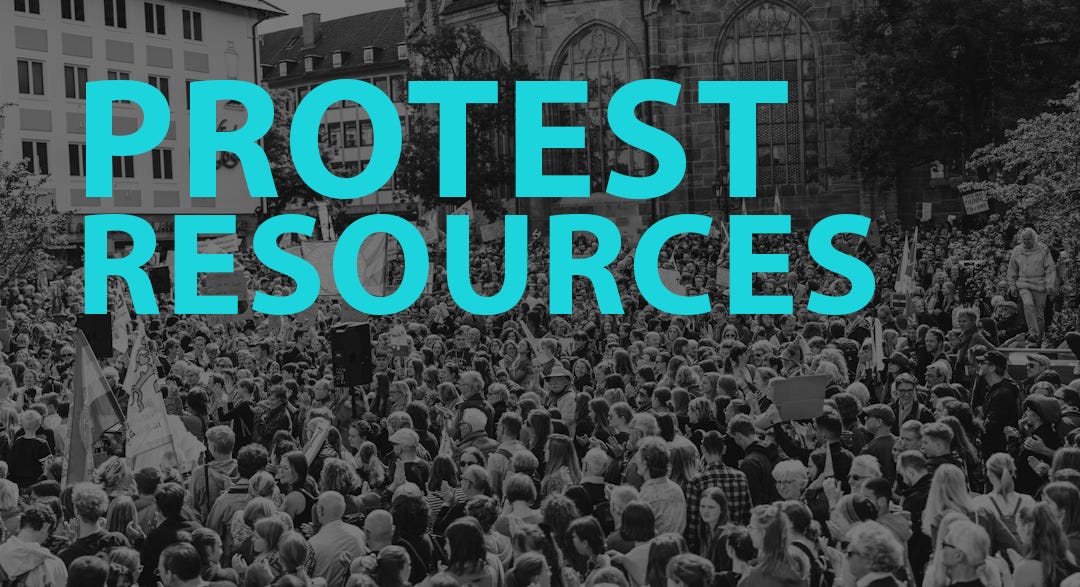 A Guide to Safe, Nonviolent Protesting - by K. Starling