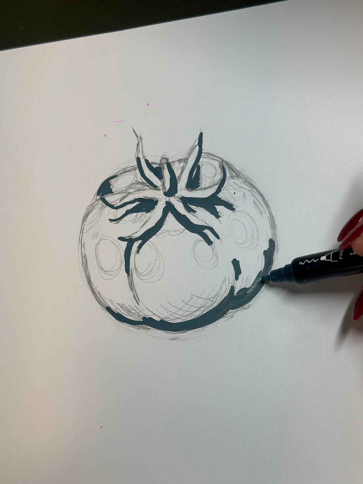How To Draw A Tomato: Step-By-Step Guide - by Bianca Bosso