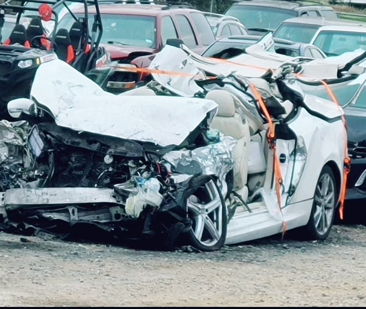 The Rise of Kenni Falls - by Chip Albright - Chip Happens