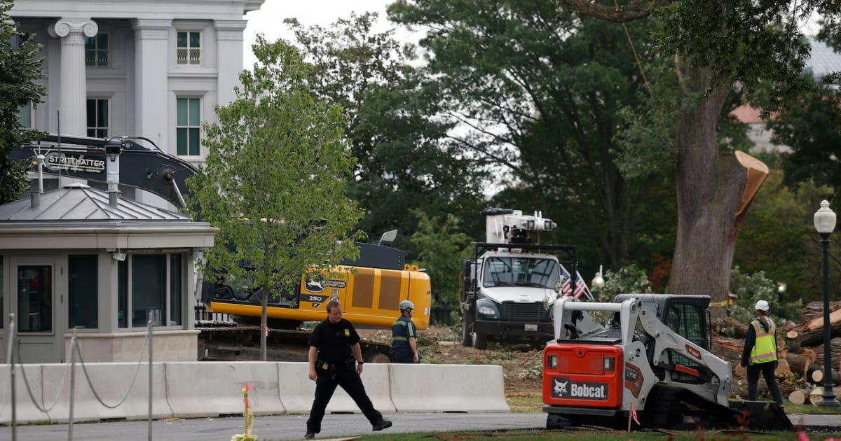 On Grief, Marcescence, and the Trees Uprooted at the White House