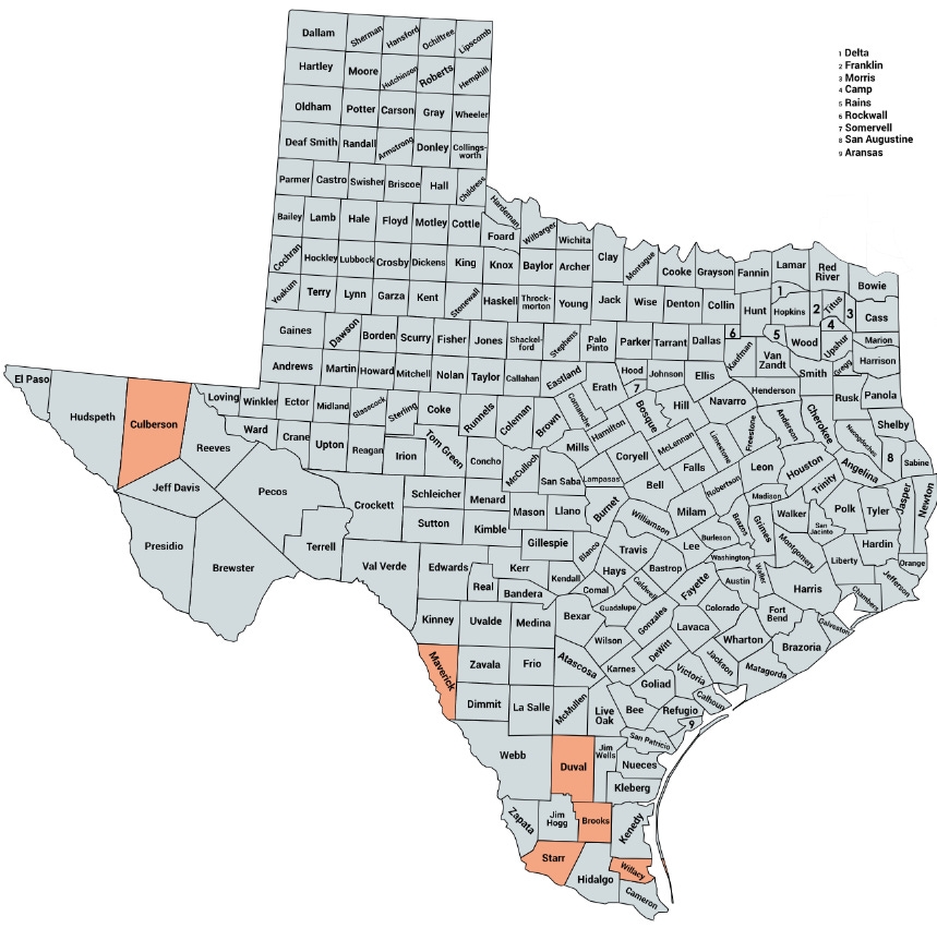 Which Texas Counties Should We Expect To Be Blue In November?
