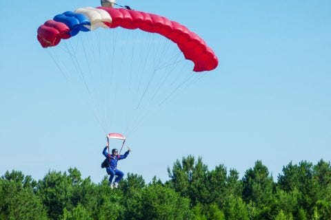 Fly like a Chicken - Michael Buzzelli