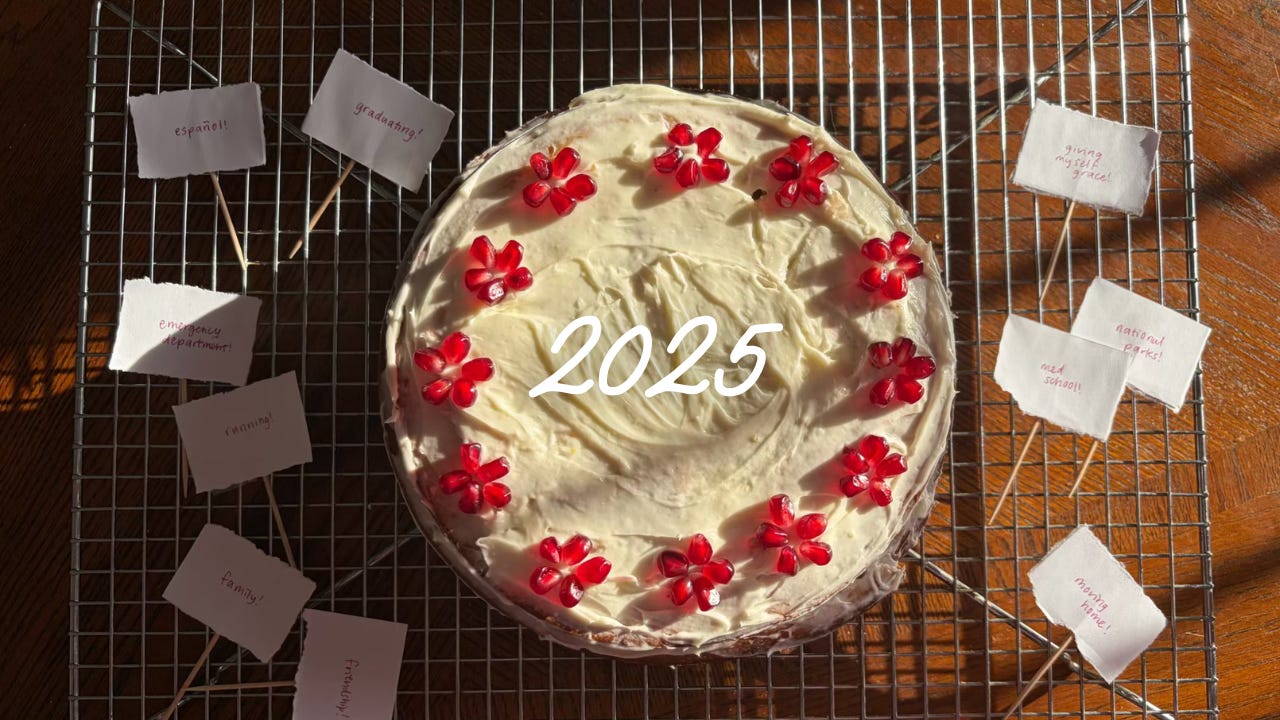 my 2025 celebration cake! | a Year in Review - by em