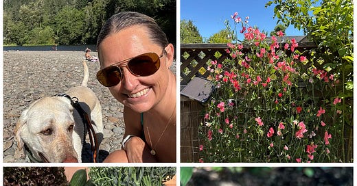 Echoes + Evidence | Ali Edwards | Substack