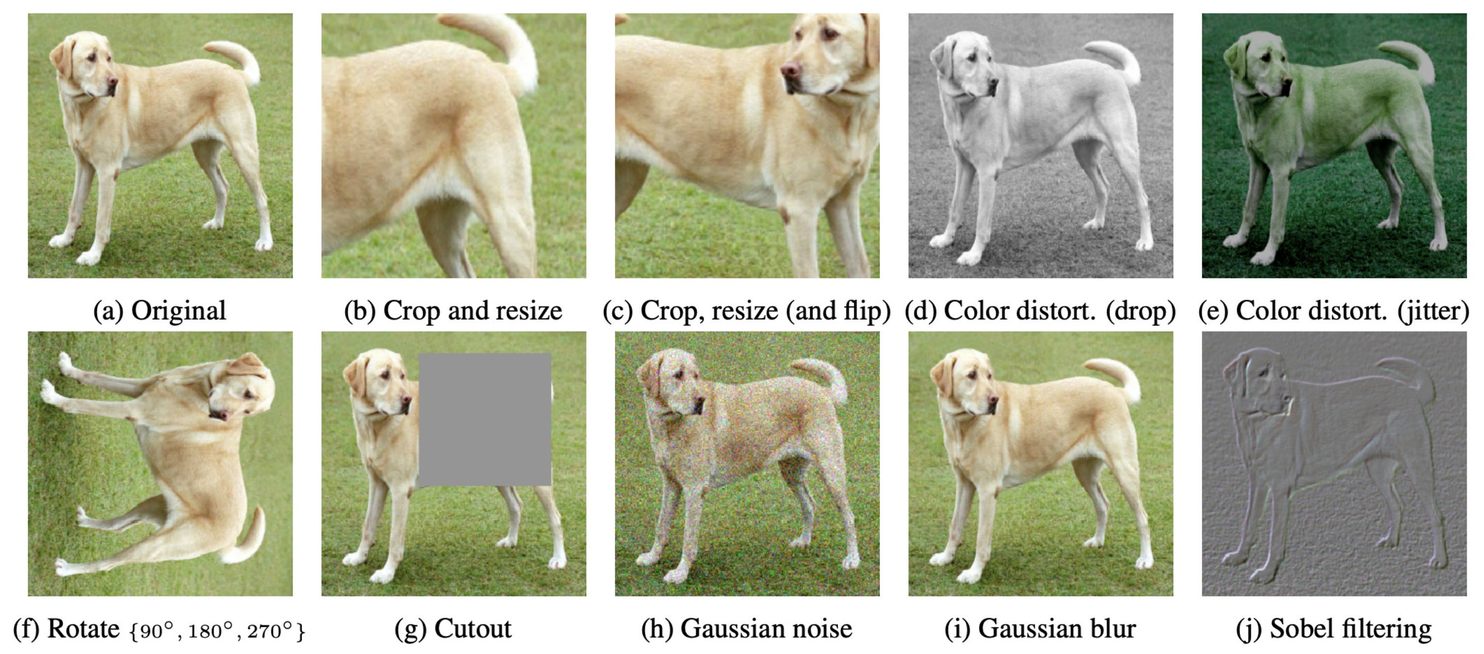 Contrastive learning in VLMs