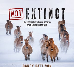 Indie Kids Books | Darcy Pattison | Substack