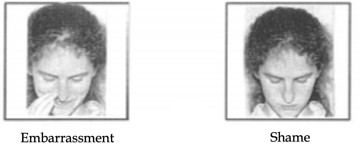 Facial Expressions: Guilt, Shame, Embarrassment, Empathy