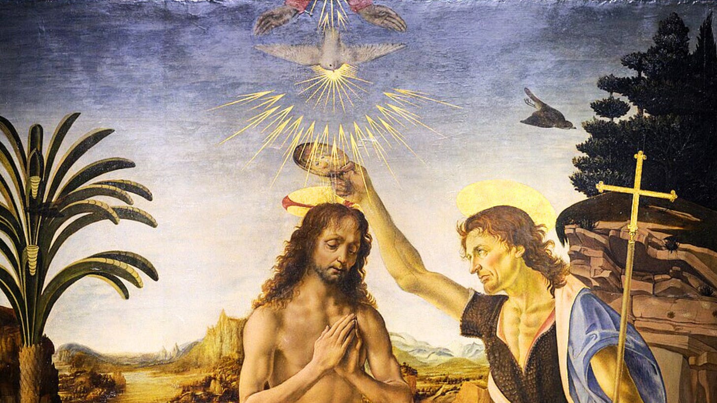 Why did Noah send out a raven, then a dove from the ark?