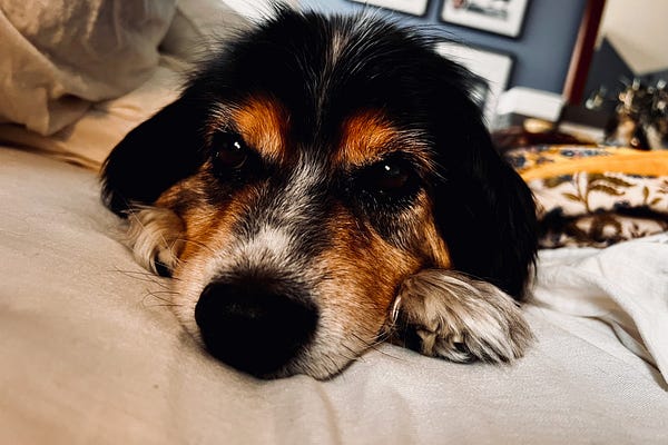 Hopefully Yours | Connie Schultz | Substack