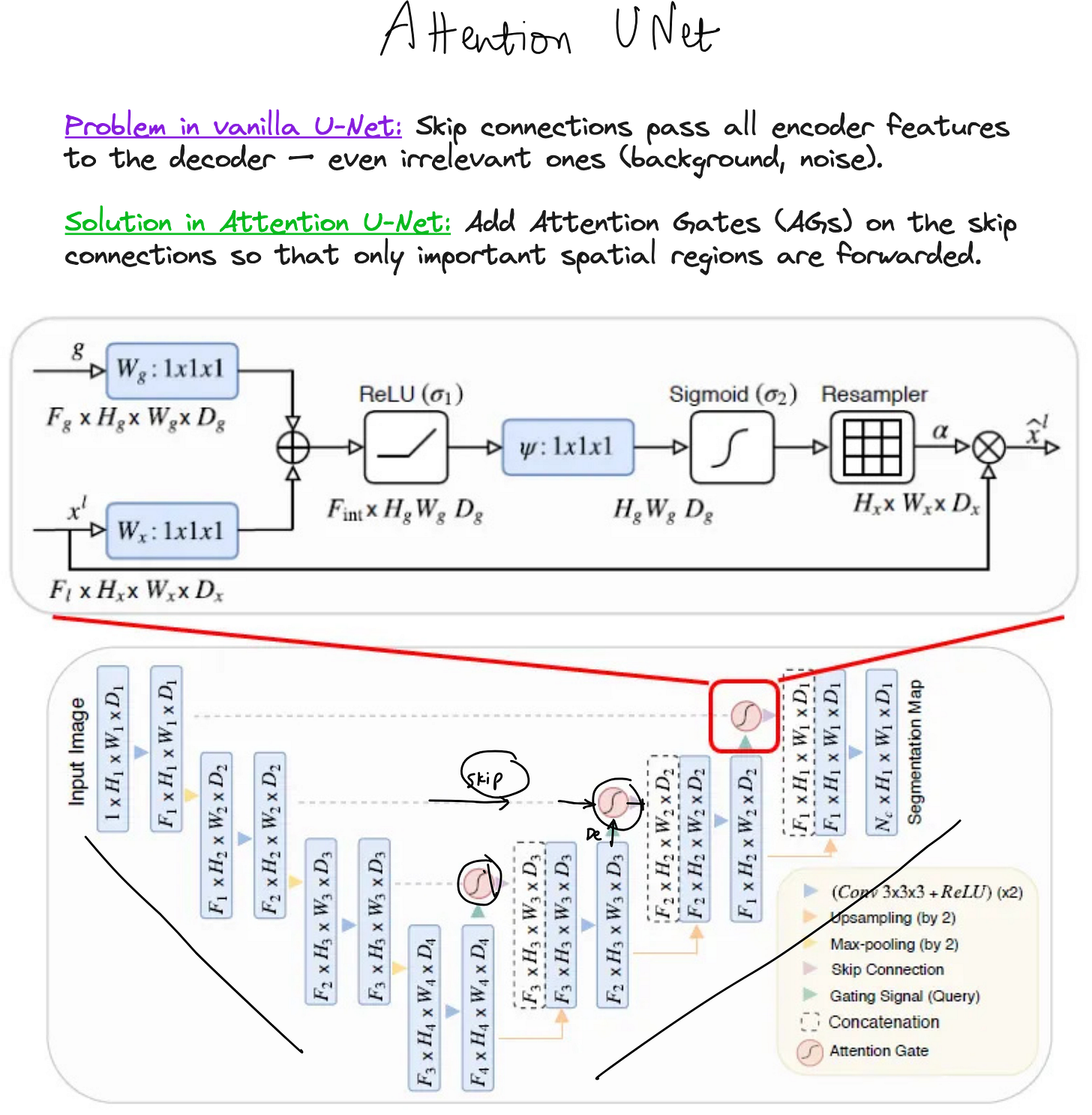 UNet and its Family: UNet++, Residual UNet, and Attention UNet