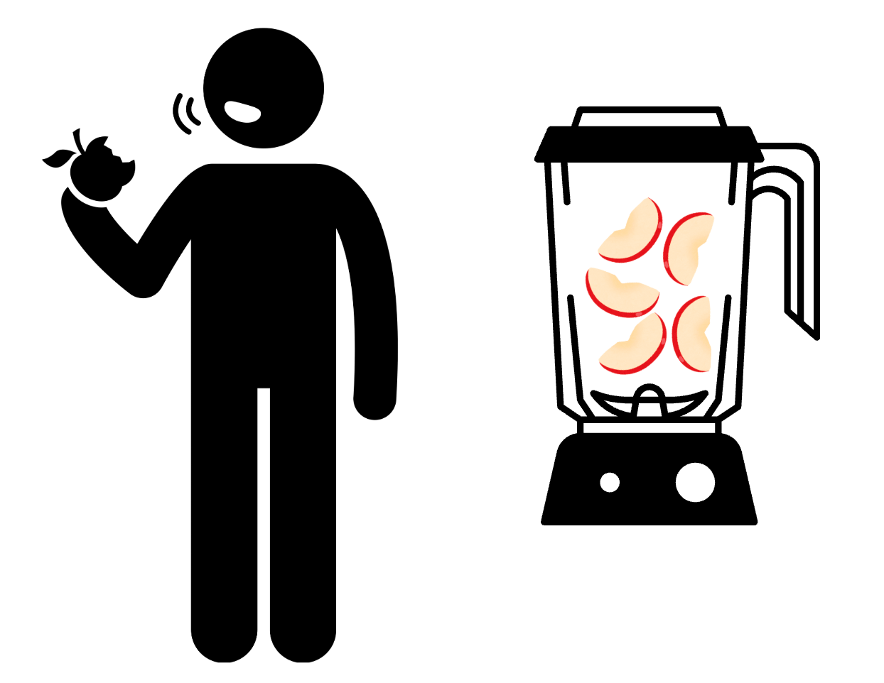 The Food Matrix Explained: Why the Structure of Food Matters More Than ...