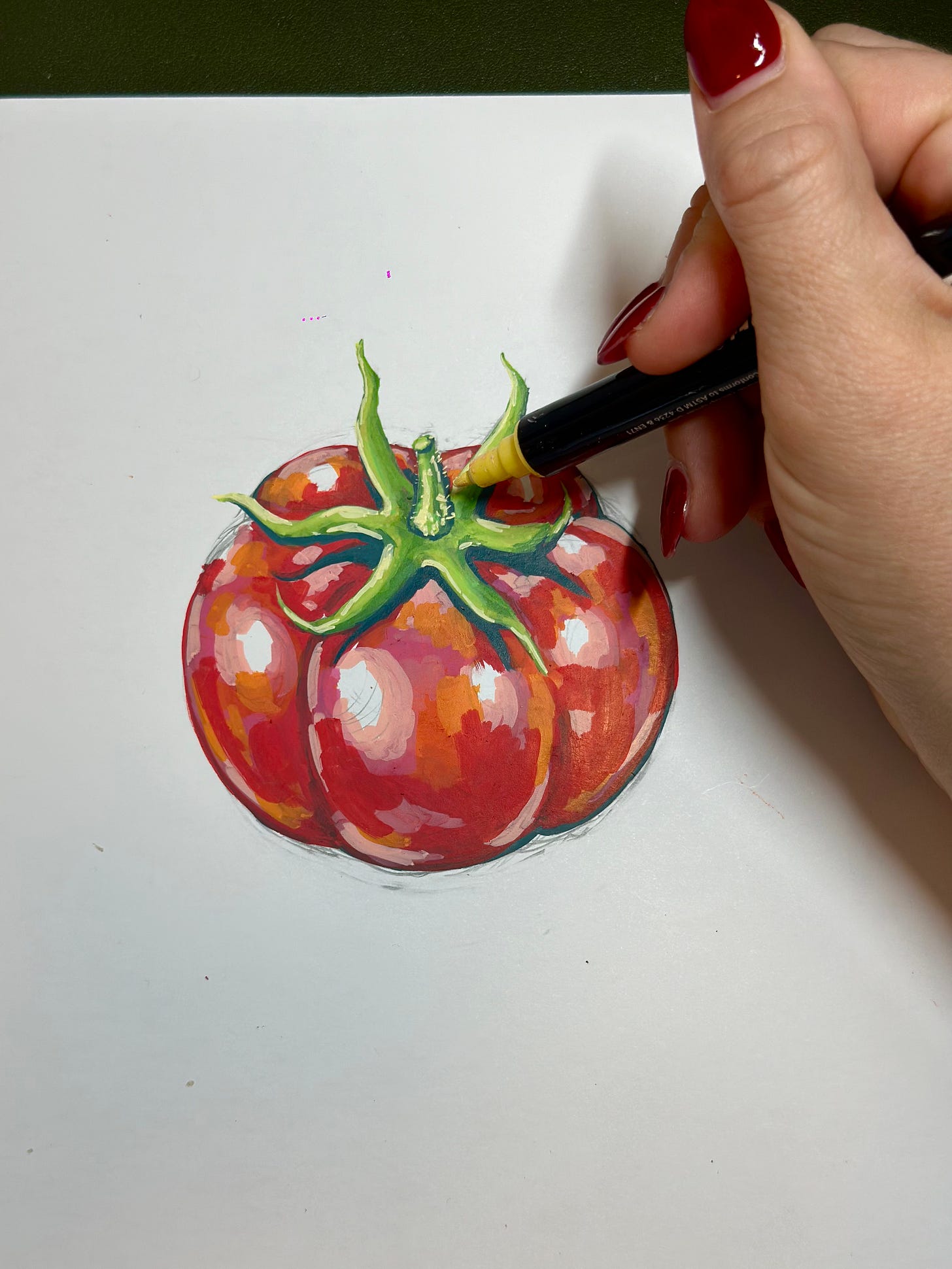 sketch tomato