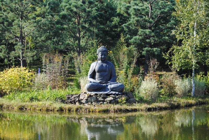 10 of the most Spiritual Garden Plants - by Chris Bell