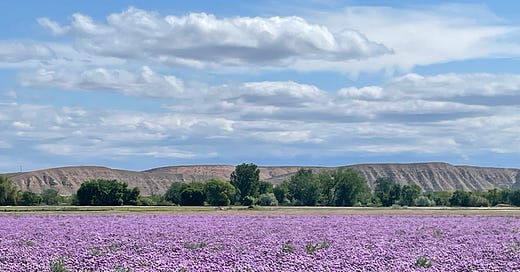 Lisa and Eric | Substack