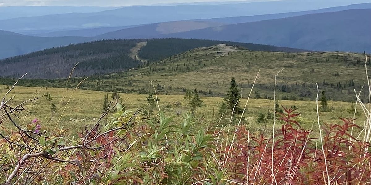 Murphy Dome: Where Memory Meets the High Country