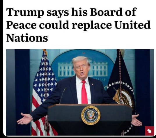 Cyntha Koeter - An 'Innocent' Board of Peace? - IntoTheLight.news