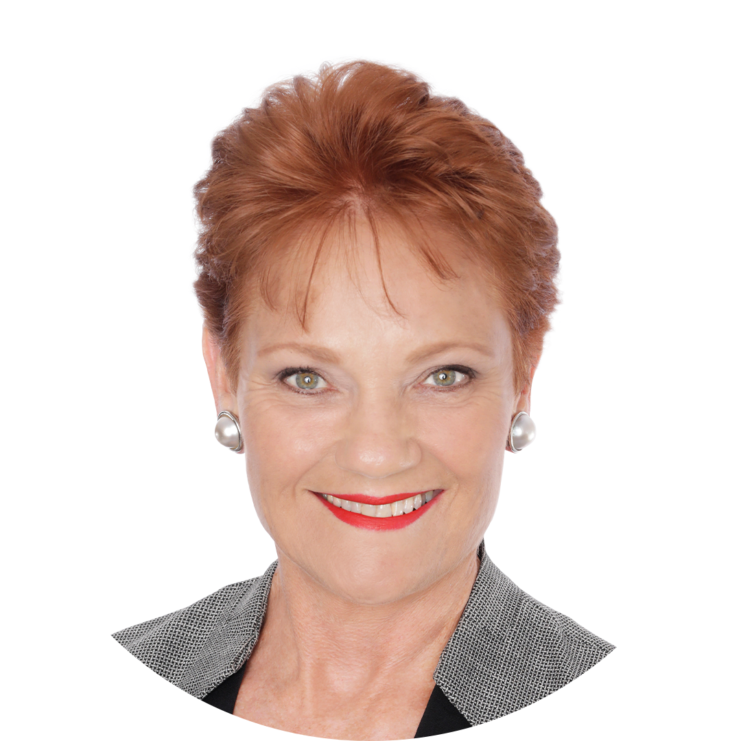 Pauline Hanson Supports Binary - by David J Thomas
