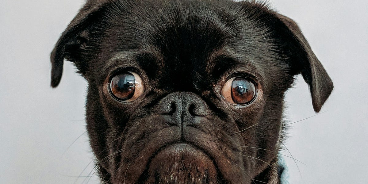 What Being 29 Feels like - Simplified by Rishav Jain