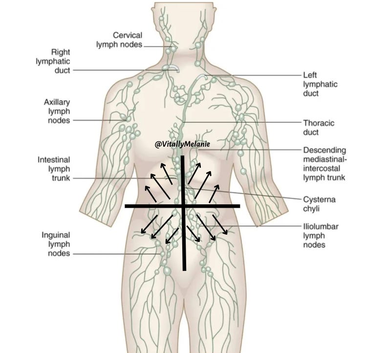 Lymphatic drainage blueprint for a sculpted stomach, gut health ...