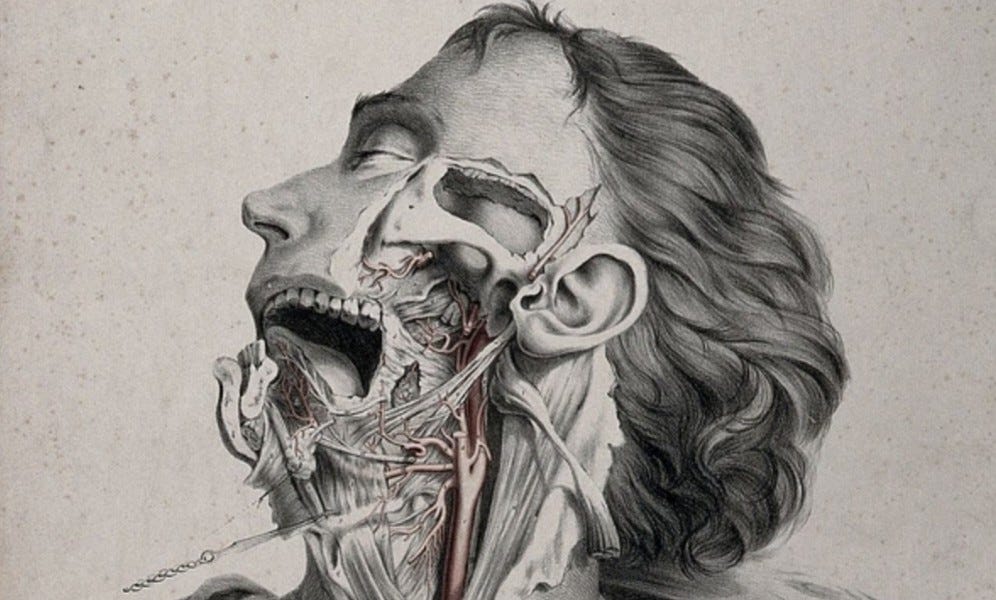 Body Horror Flesh & Fear: from Myth to Mutation