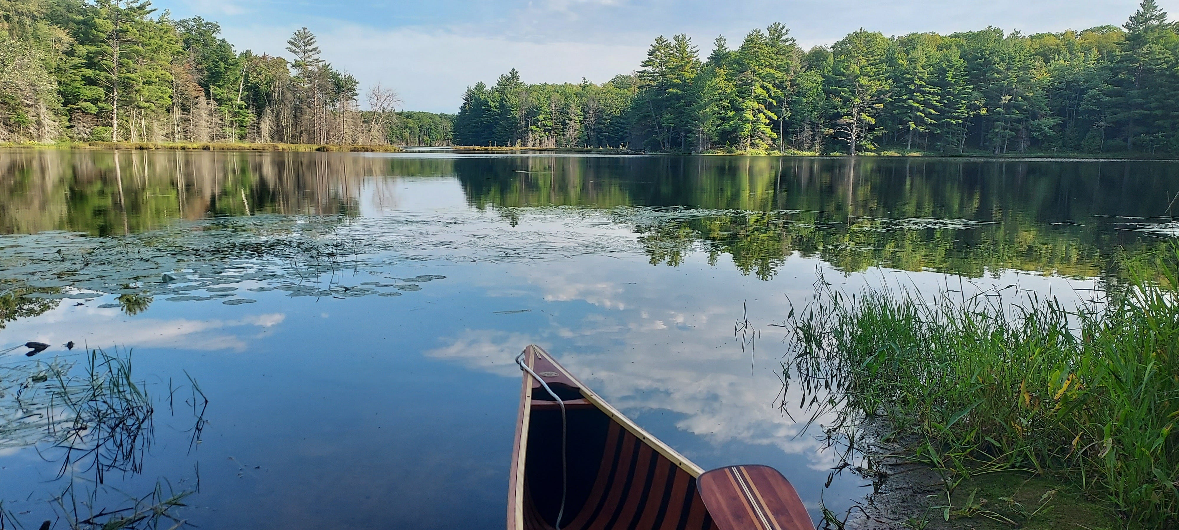 Going to Work for Northern Wisconsin - by Fred Clark