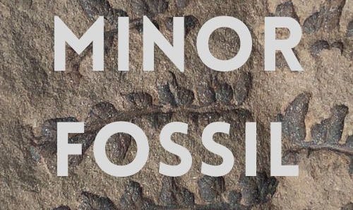 Minor Fossil | Substack