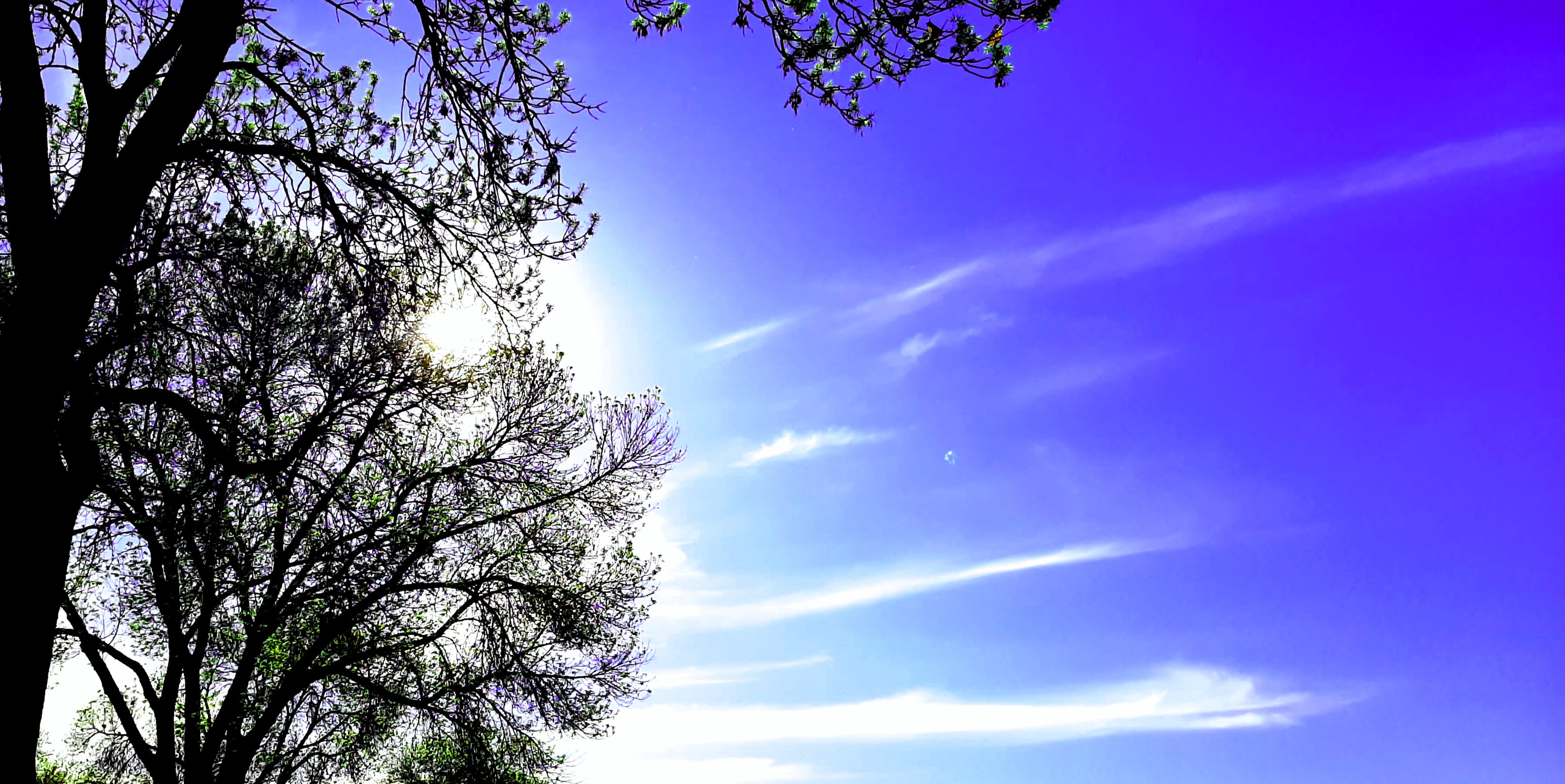 5 Things: Prayer - by Anna Berend - Anna’s Substack